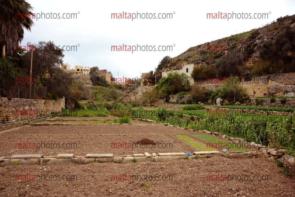 Gozo Lunzjata Countryside Valley - Malta Photos