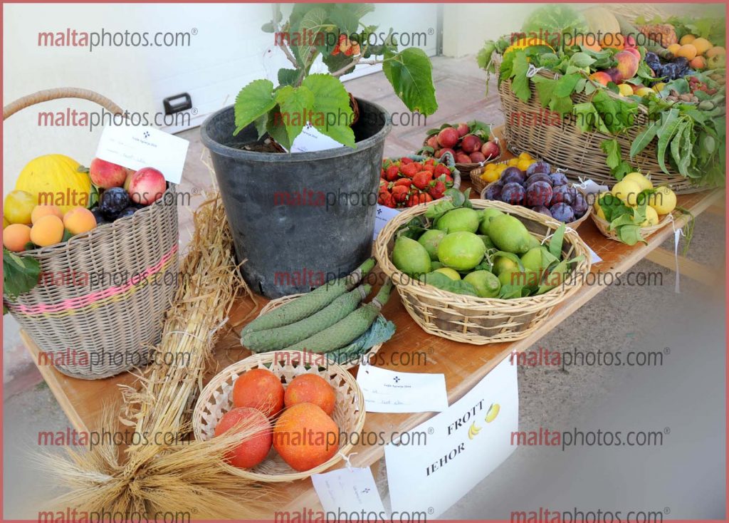 Bidnija Village Vegetables Crops Exhibition People - Malta Photos
