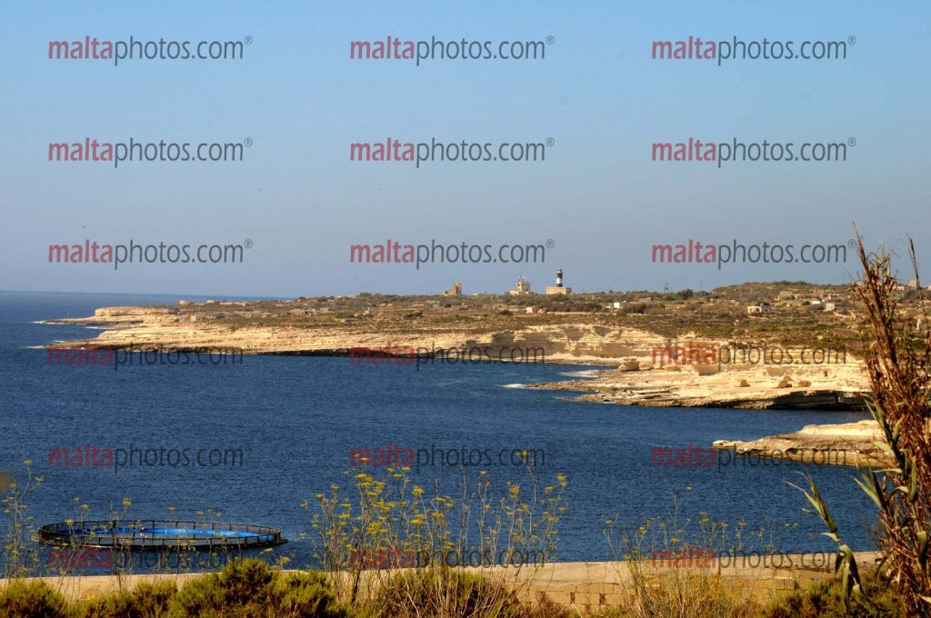 Delimara - Malta Photos