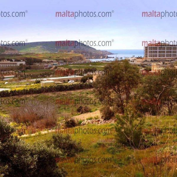 Manikata Saghtar Wild Thyme - Malta Photos