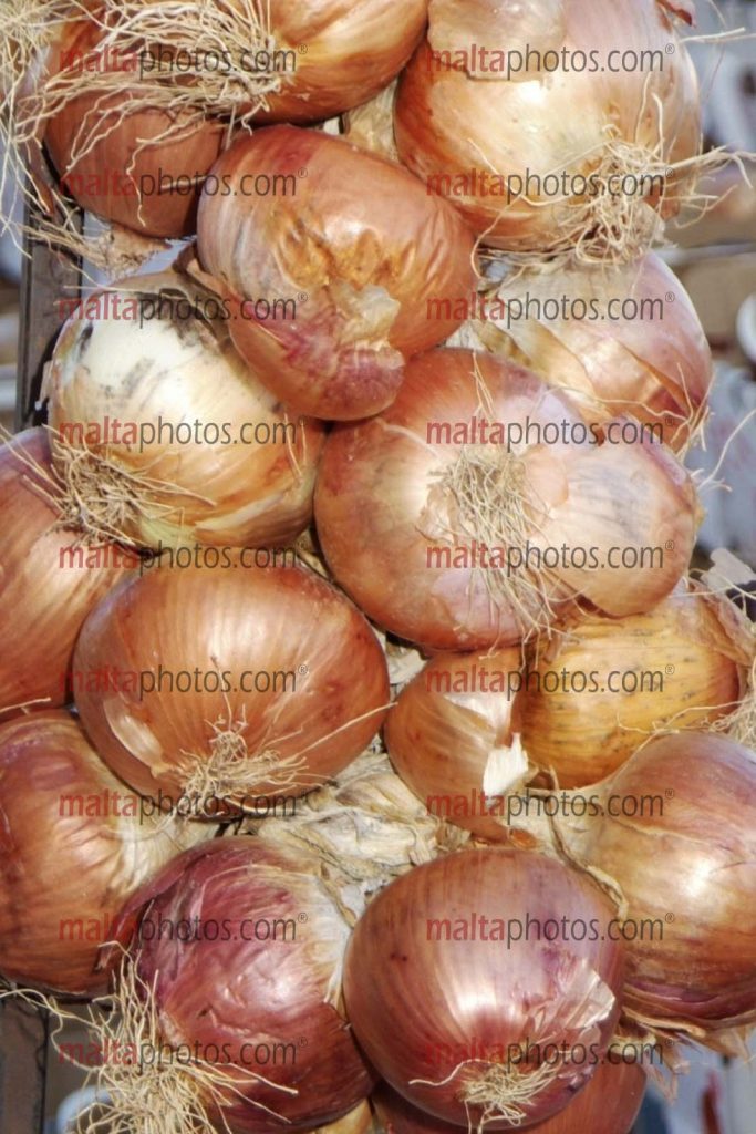 Food Basal vegetables crops - Malta Photos