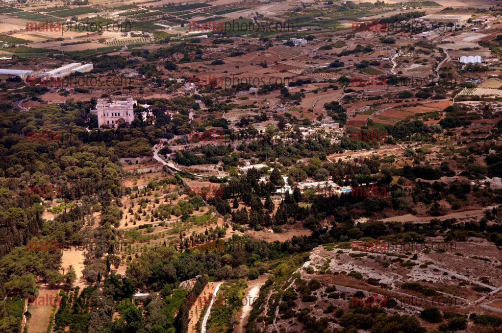Buskett Aerial Trees - Malta Photos