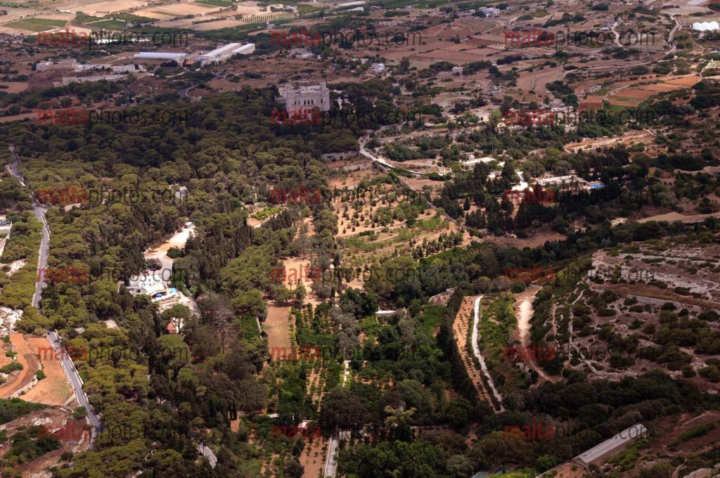 Buskett Aerial Trees - Malta Photos