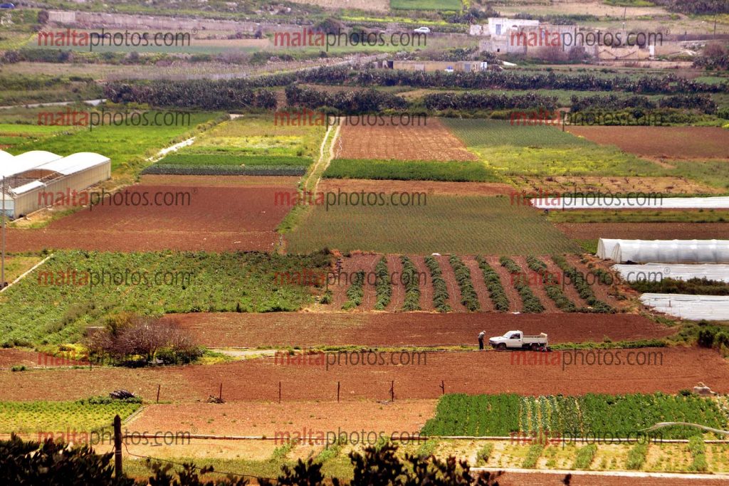 Manikata Countryside - Malta Photos