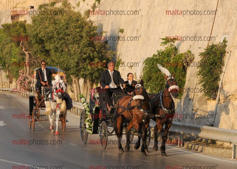 Karozzin Traditional Cart Valletta - Malta Photos