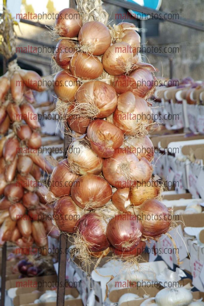 Mgarr Basal Vegetables Onions Crops - Malta Photos
