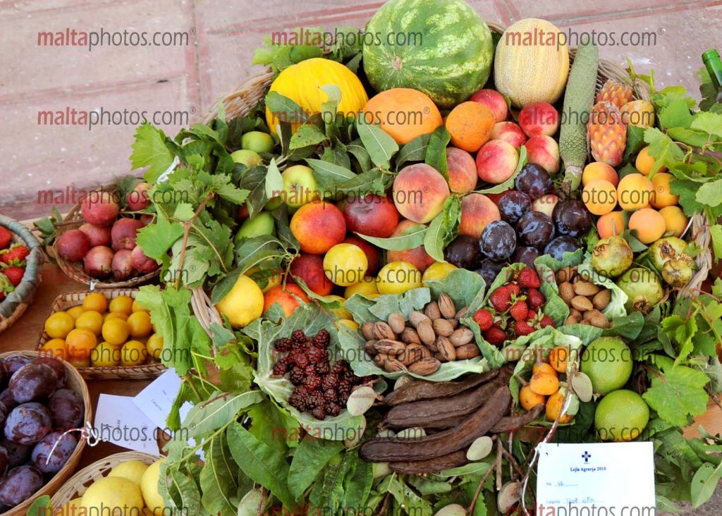 Bidnija Village Vegetables Crops Exhibition - Malta Photos