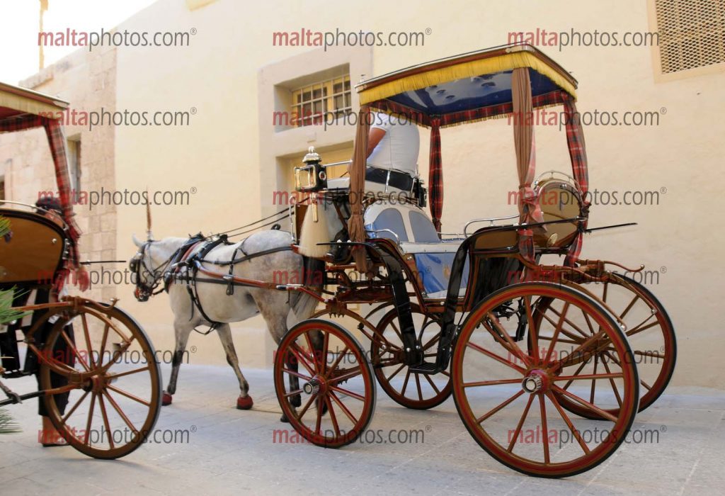 Karozzin Mdina Traditional Cart Tourists Tourism - Malta Photos