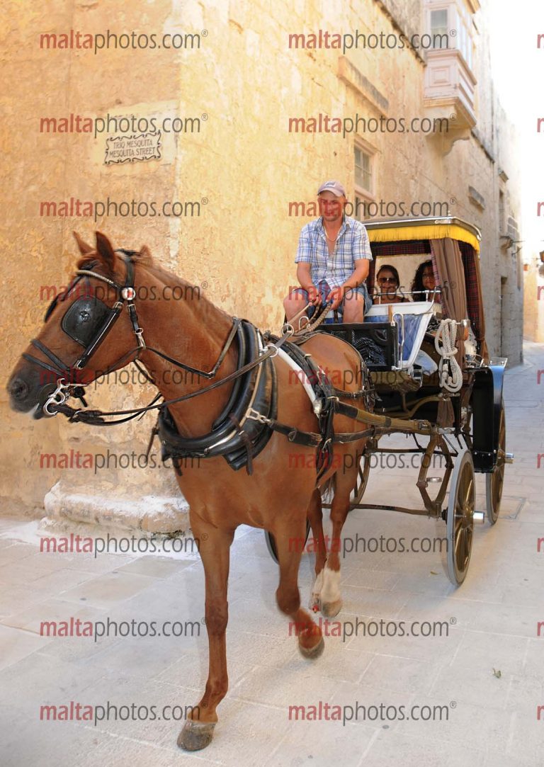 Karozzin Mdina Traditional Cart Tourists Tourism - Malta Photos