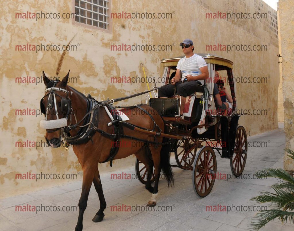 Karozzin Mdina Traditional Cart Tourists Tourism - Malta Photos