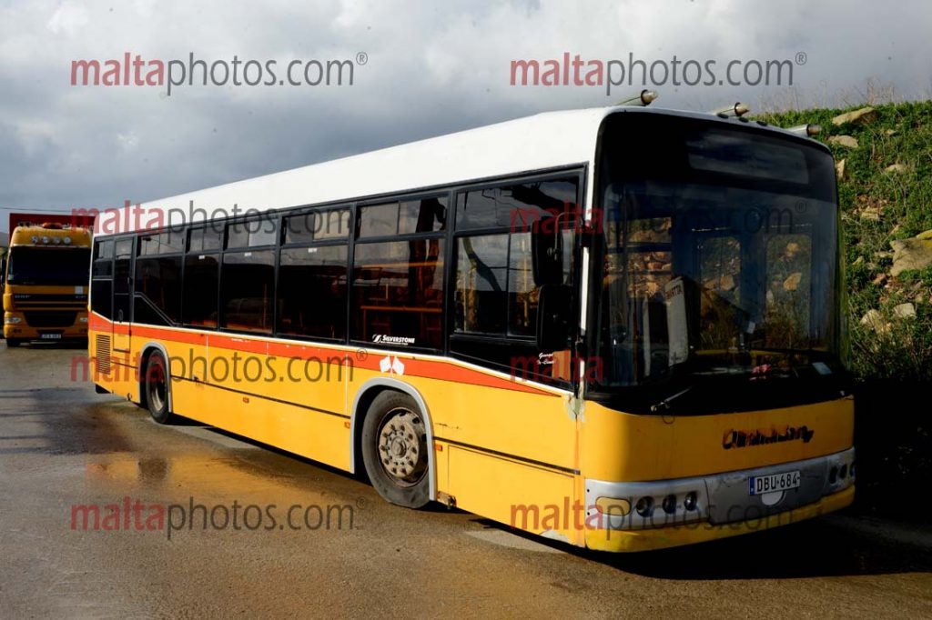 Buses Public Transport Tal Linja - Malta Photos