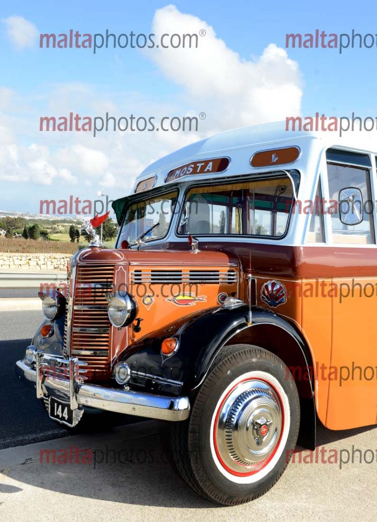 Buses Public Transport Tal Linja - Malta Photos