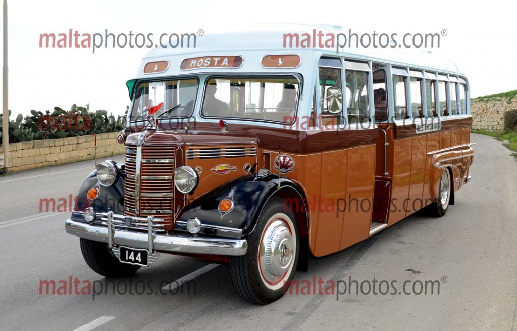 Buses Public Transport Tal Linja - Malta Photos